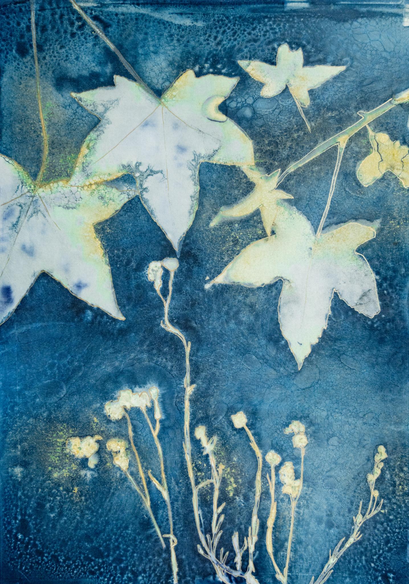 Vicki Moritz