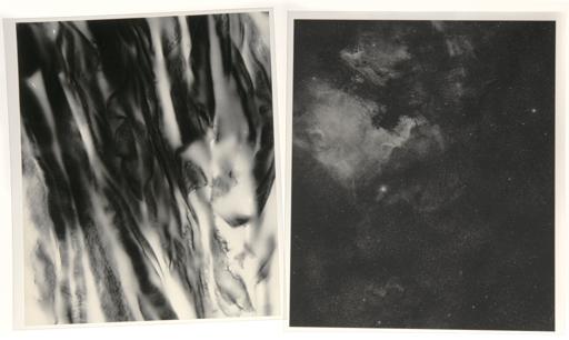Harry Nankin