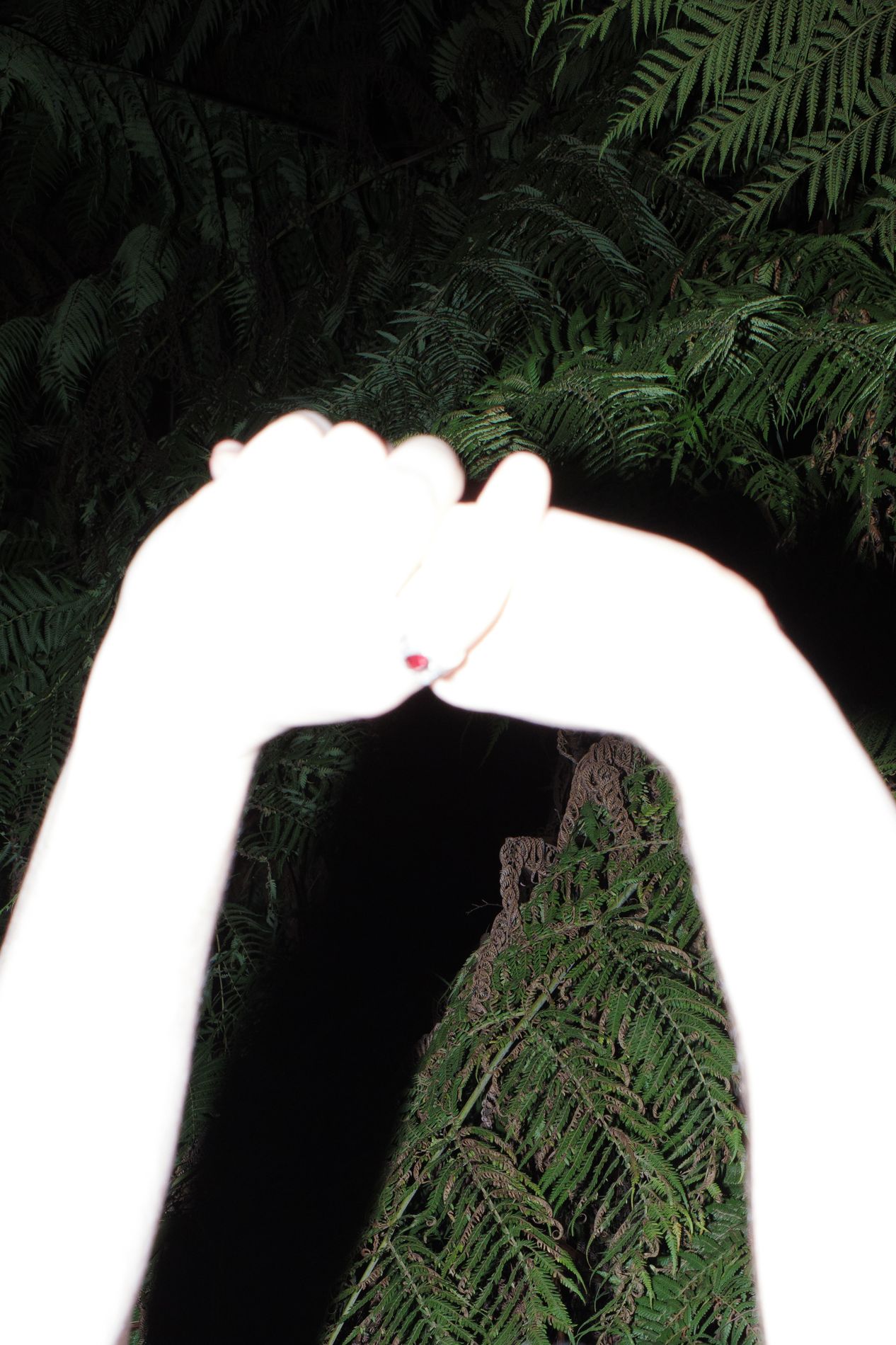 Image: Joshua GLEESON Warm November night 2024, pigment ink-jet print ...